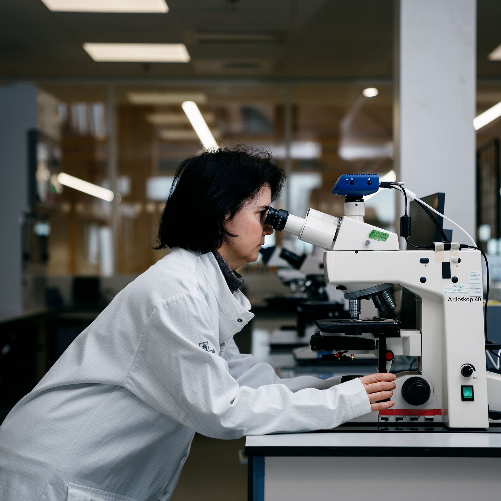 The history of Danone | Danone Group