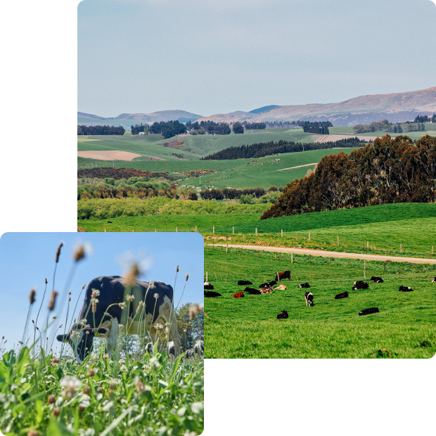 Facts & figures | Danone Group